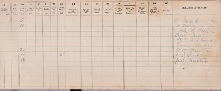 Rich Valley 1881 Property List-Page 48b - Smyth County Public Libraries